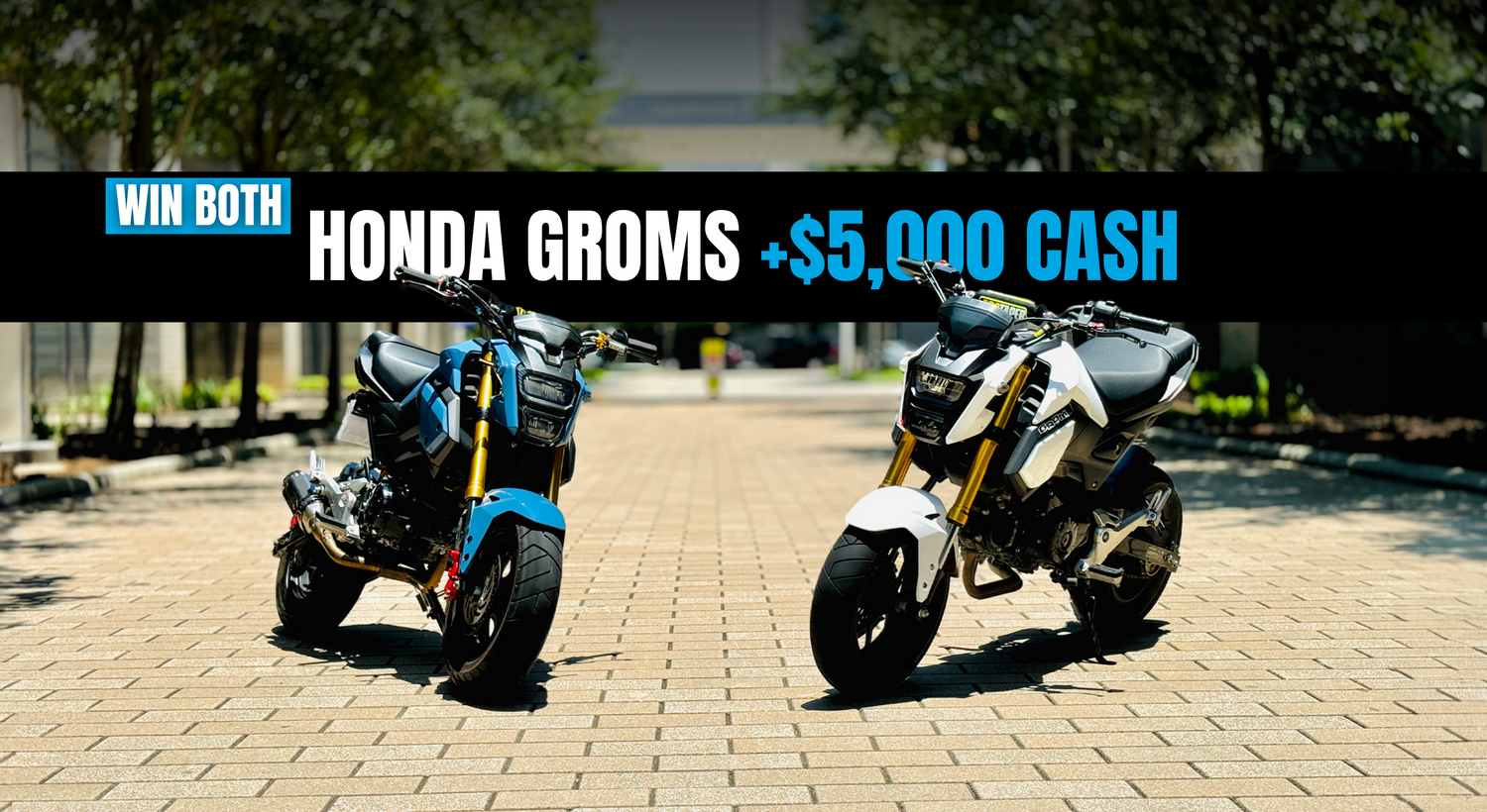 *OFFICIAL RULES* – FullSquid